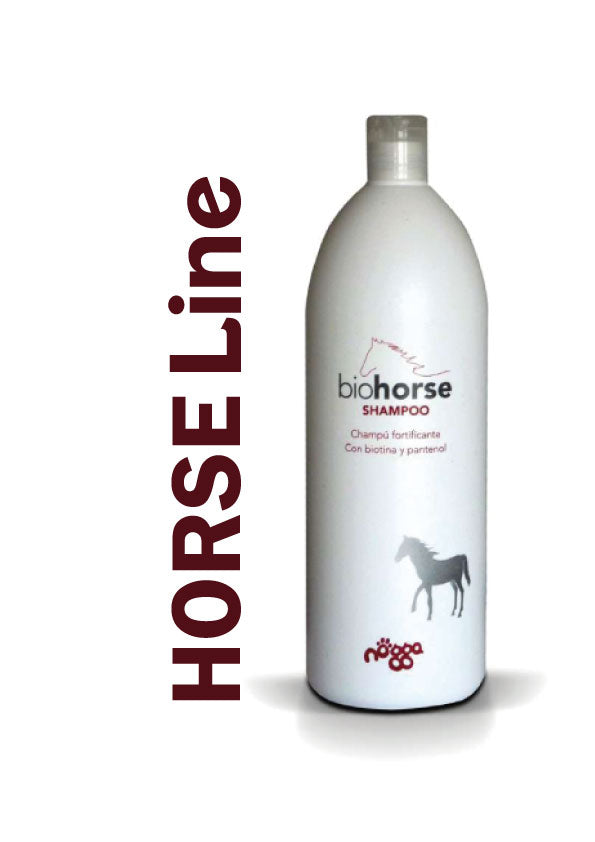 HORSE line – Nogga