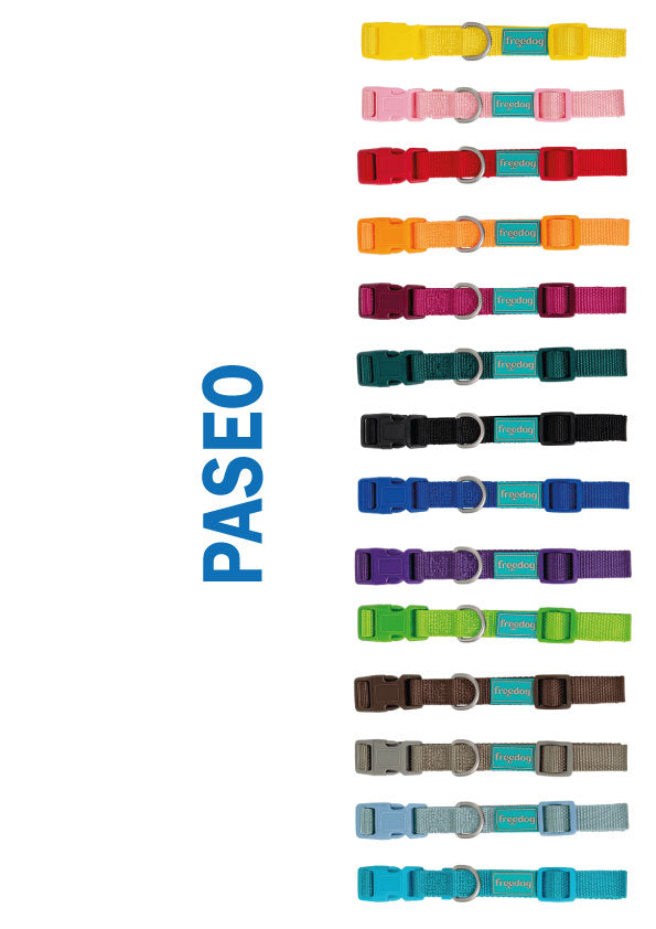 Paseo – Nogga